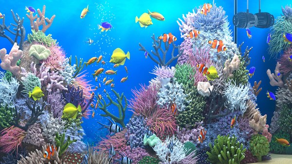 3D saltwater aquarium - TurboSquid 1710419