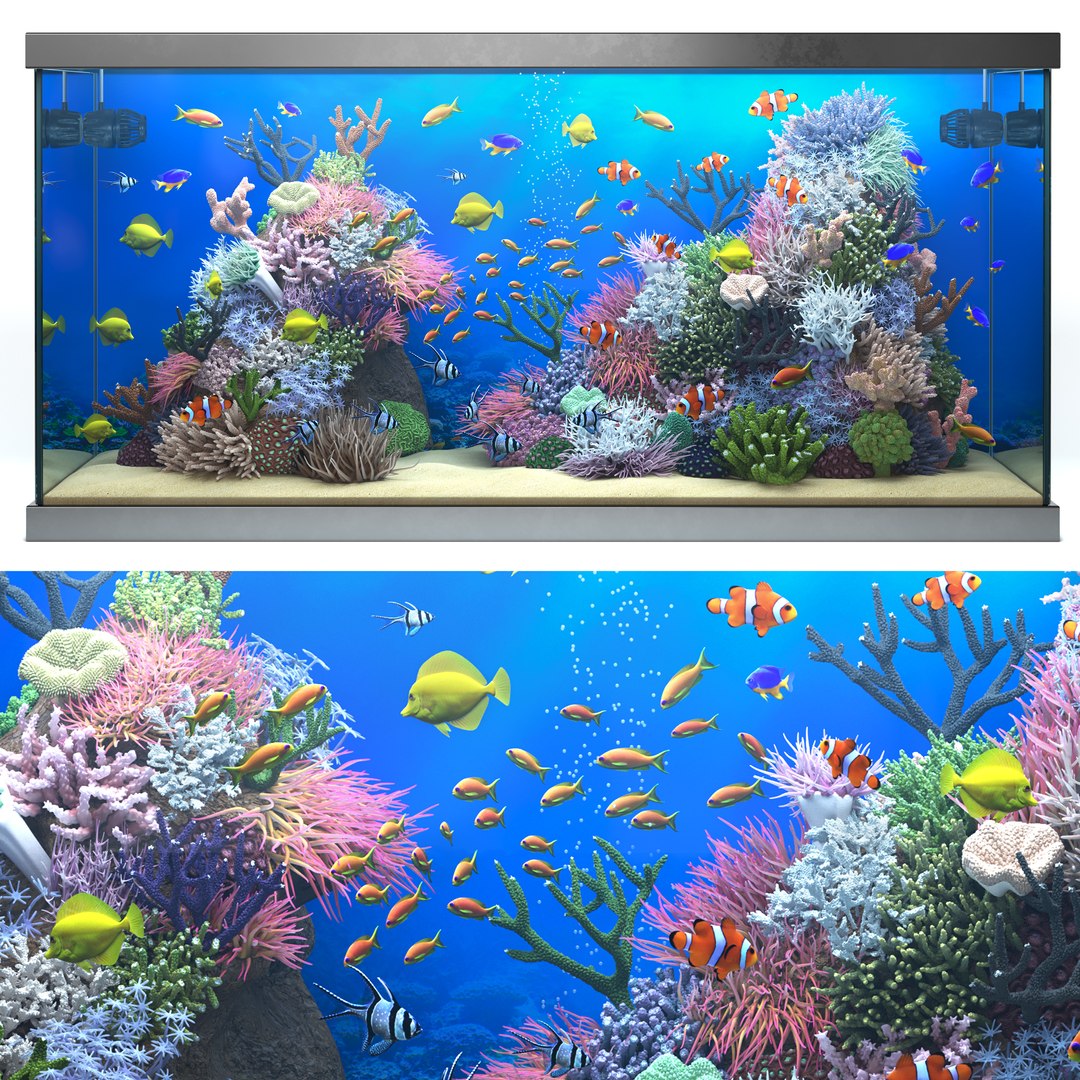 3D Saltwater Aquarium - TurboSquid 1710419