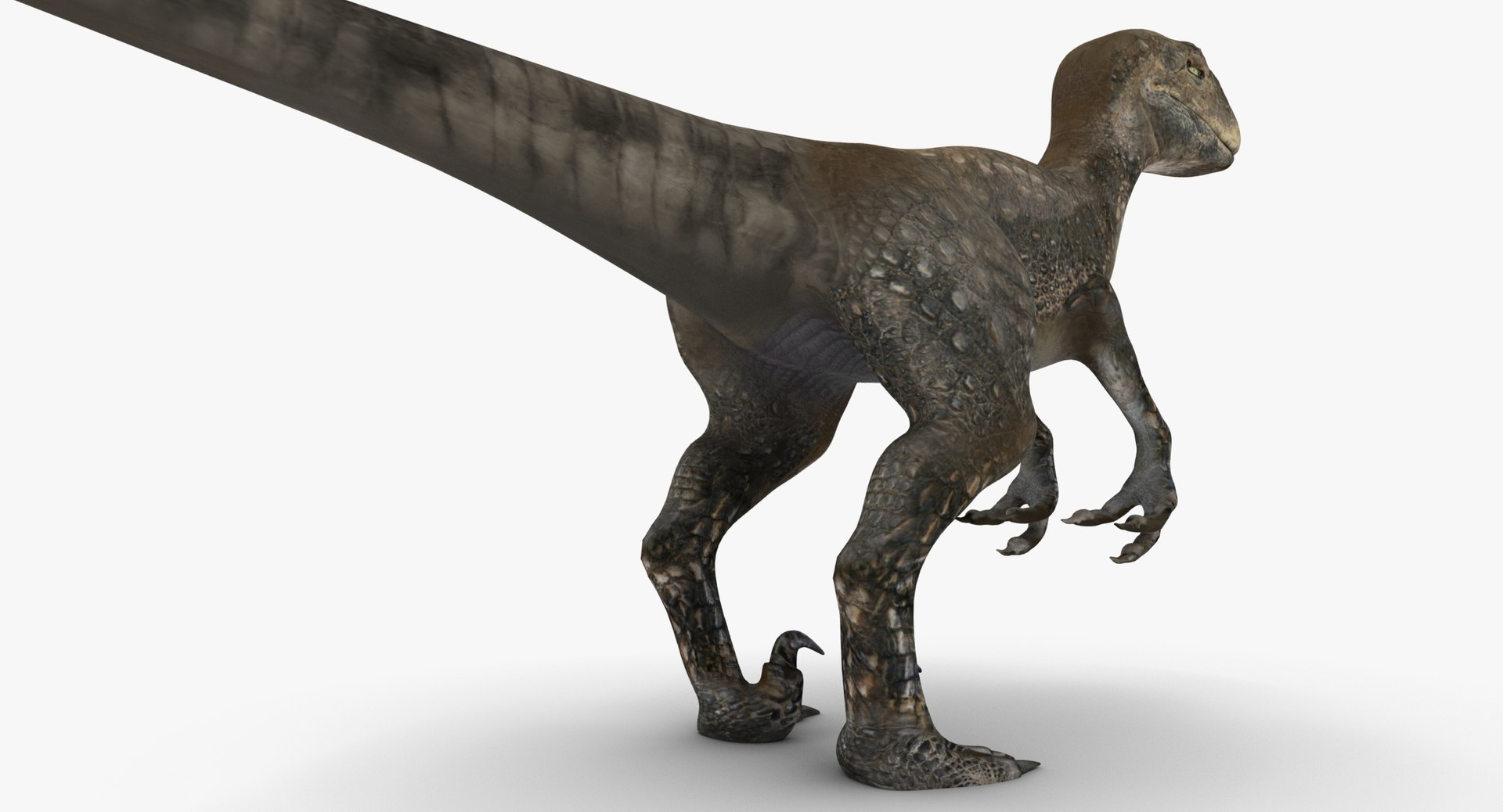 Velociraptor Raptor Max