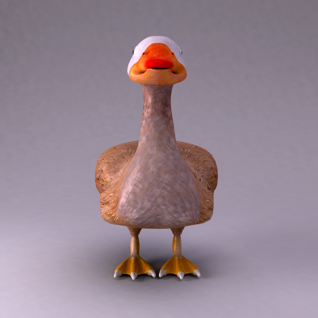 3d Cartoon Duck Model