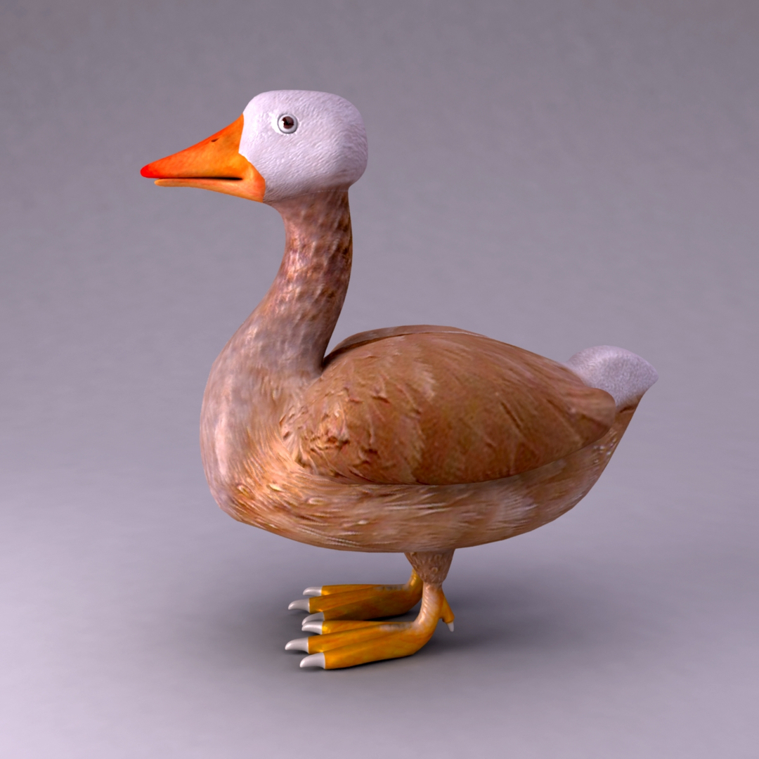 3d cartoon duck model