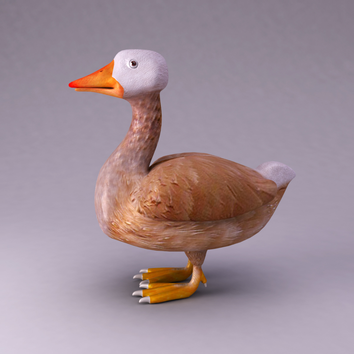 3d cartoon duck model