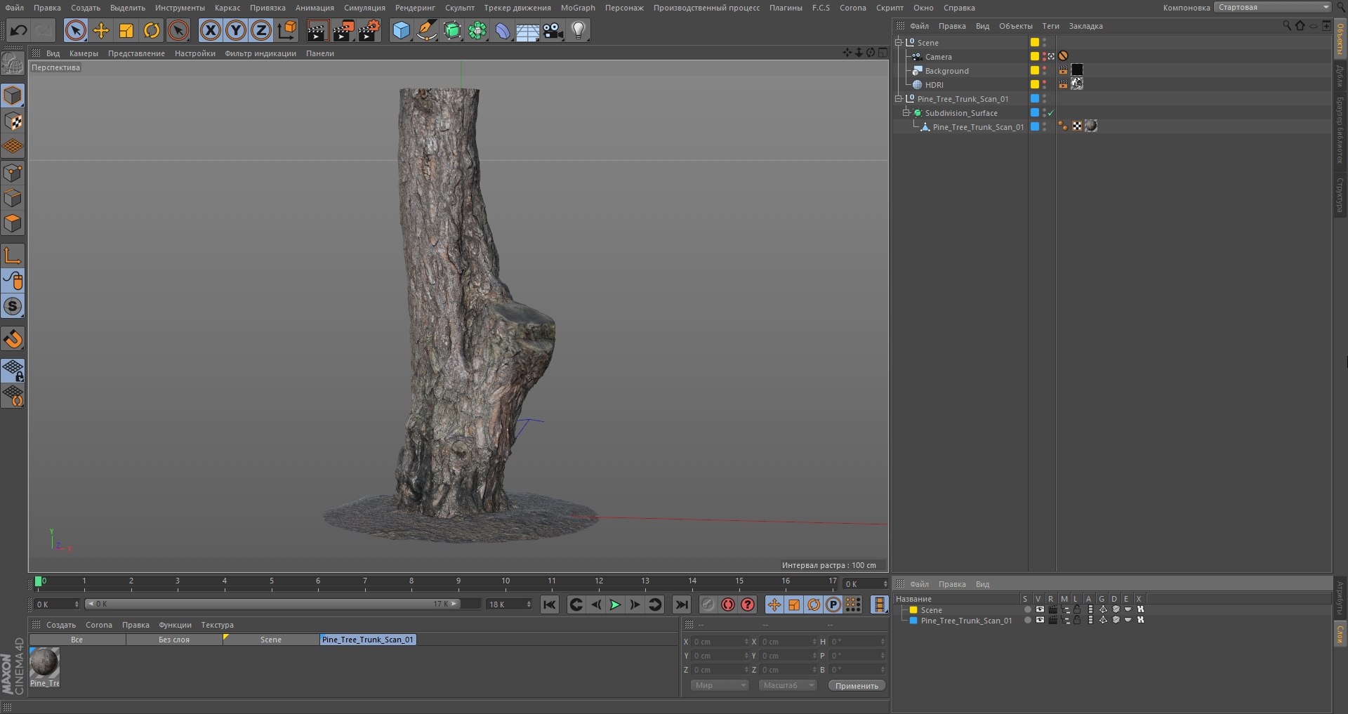 Pine Tree Trunk Scan 01 Model - TurboSquid 1713755