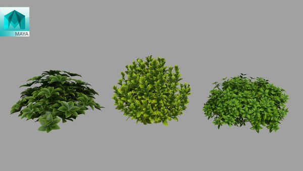 3D plant bush model - TurboSquid 1396800