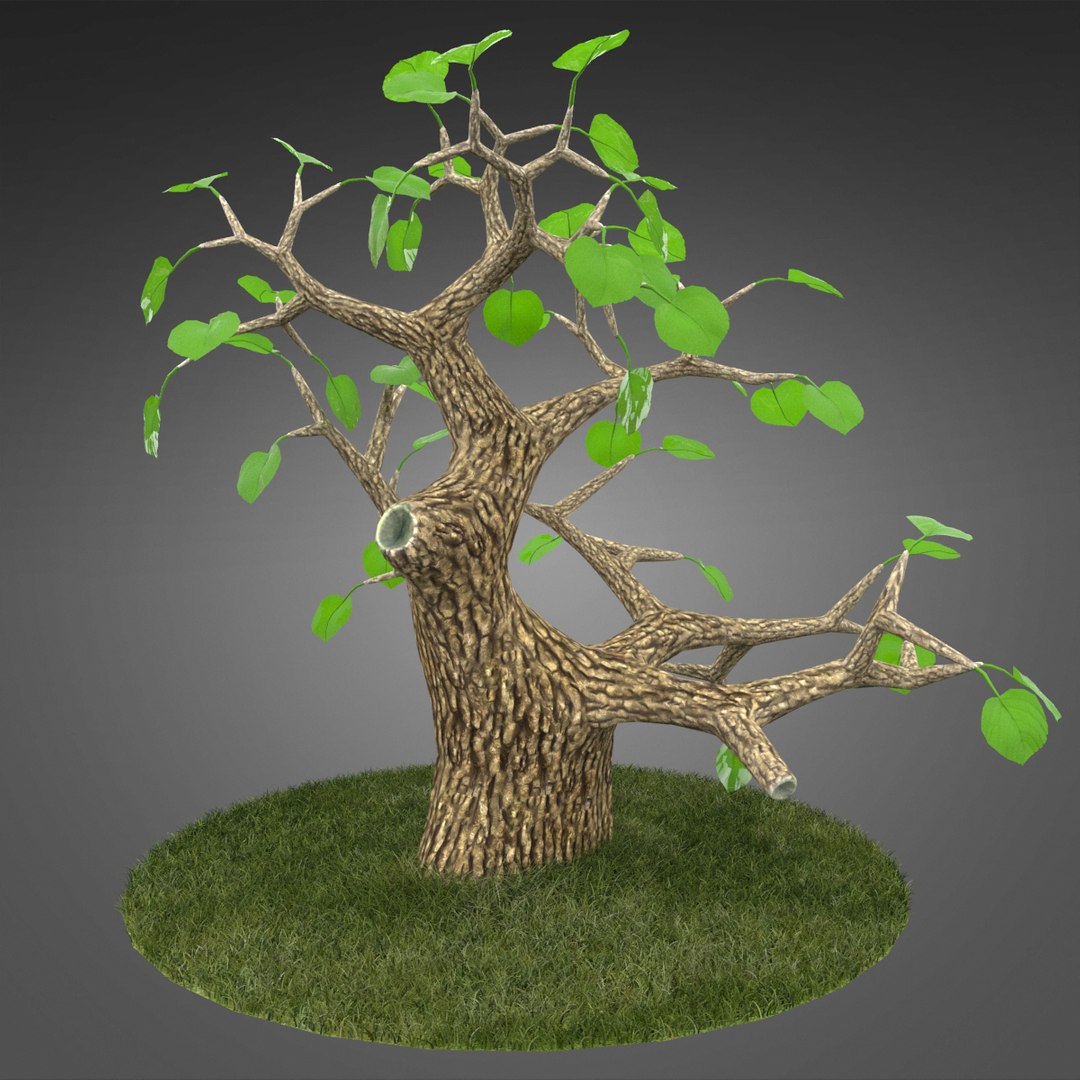 3d Cartoon Tree Model
