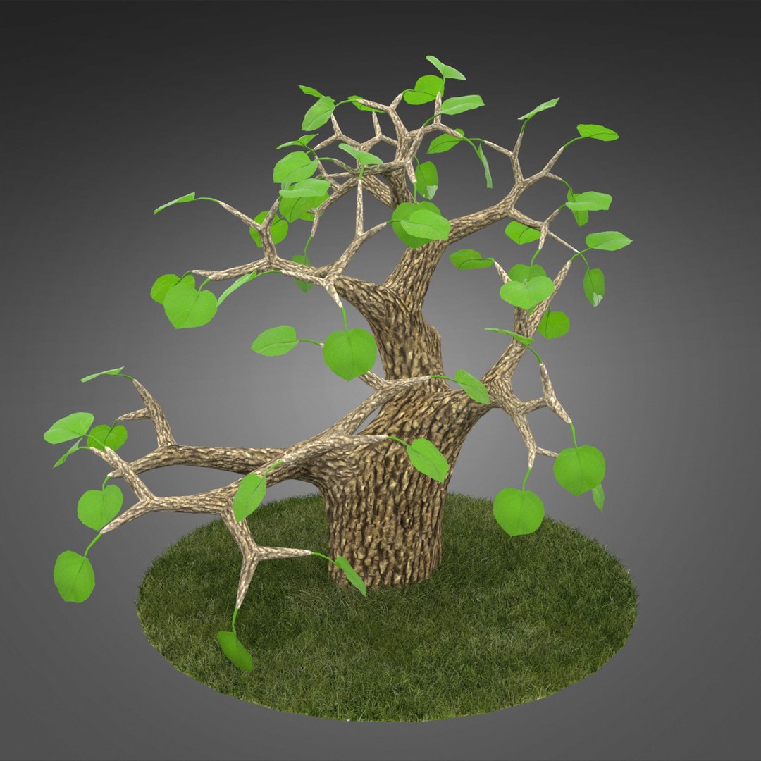 3d Cartoon Tree Model