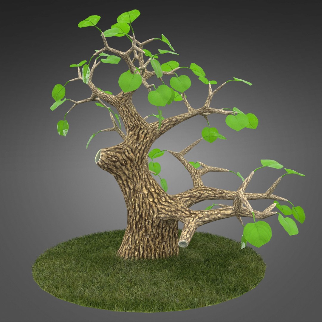 3d Cartoon Tree Model
