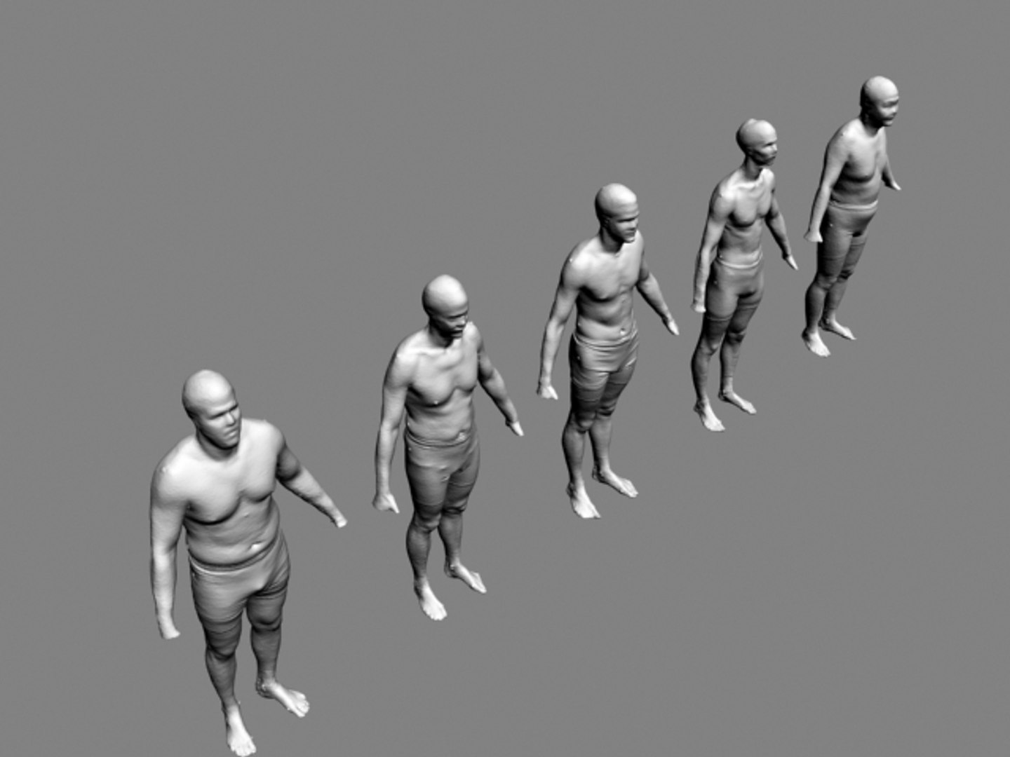 3d Model Mesh Scans Body Types