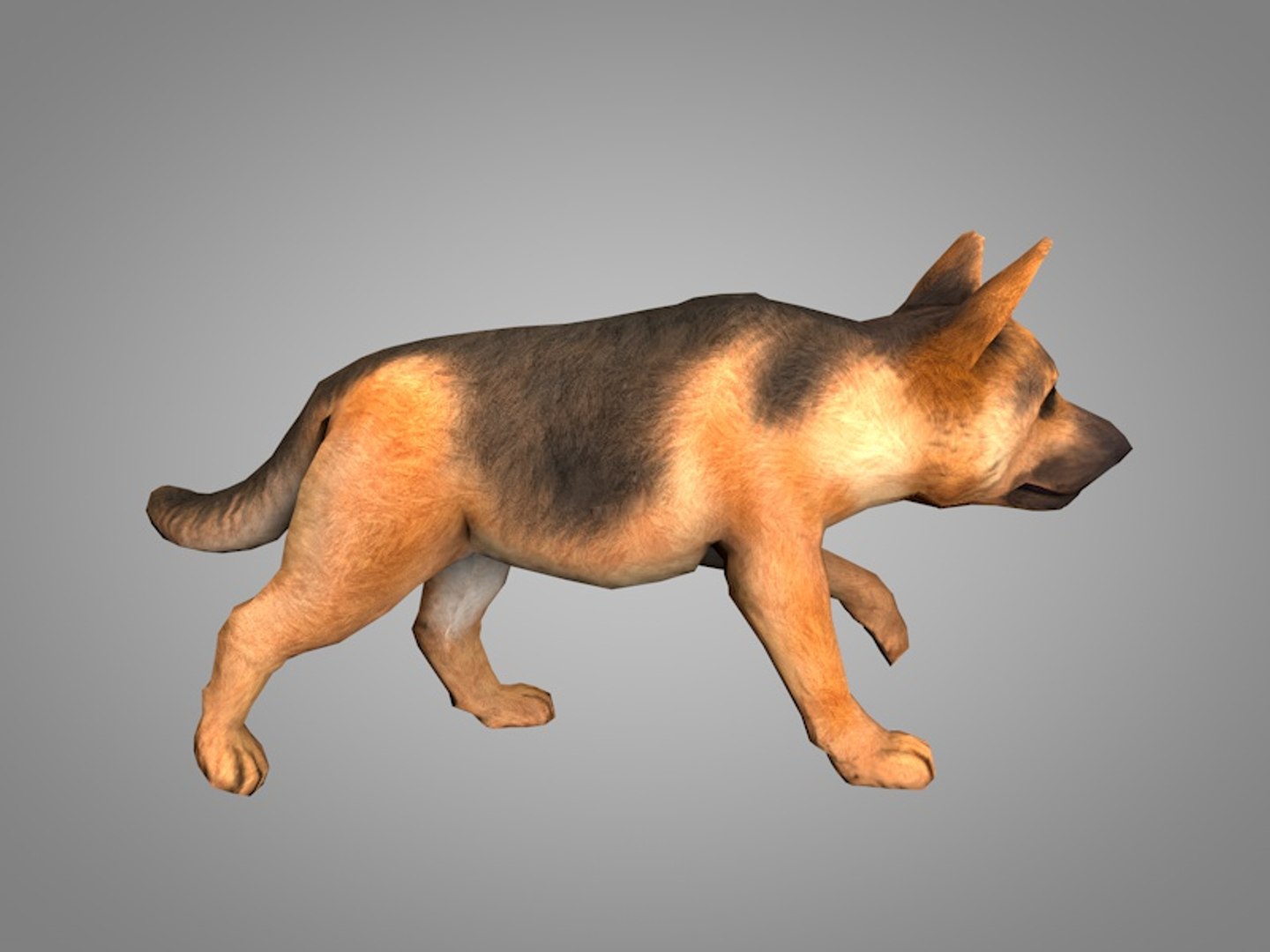 Shepherd 3D Model - TurboSquid 1203389