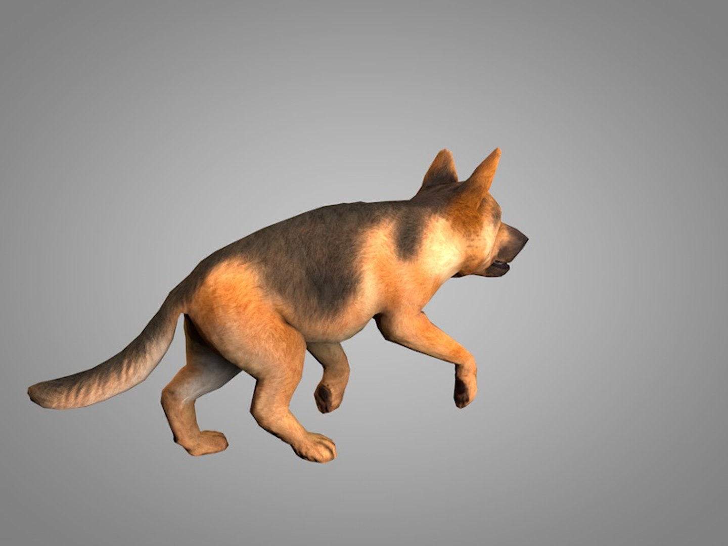 Shepherd 3D Model - TurboSquid 1203389