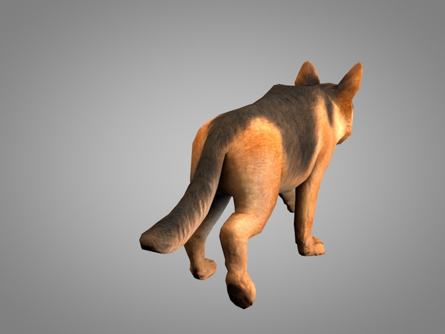 Shepherd 3D Model - TurboSquid 1203389