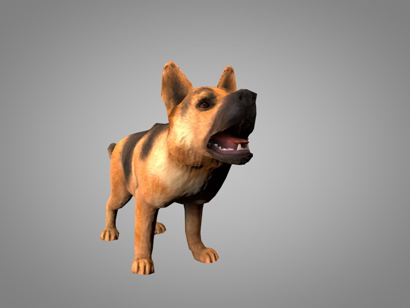 Shepherd 3D Model - TurboSquid 1203389
