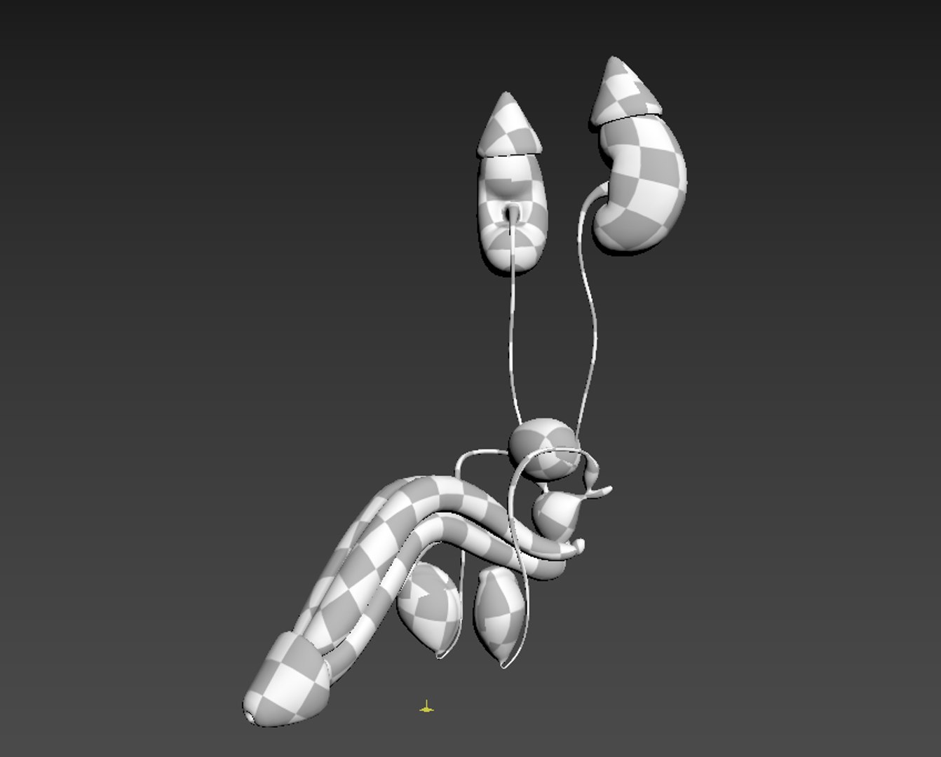 3D Male reproductive system model - TurboSquid 1830692