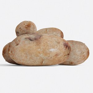 Potato STL Models for Download | TurboSquid