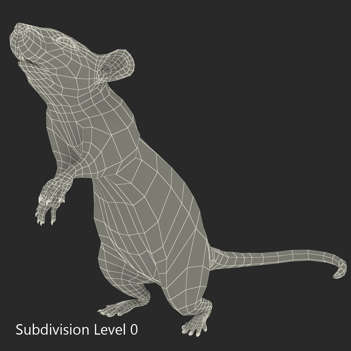 white rat pose 2 3d max