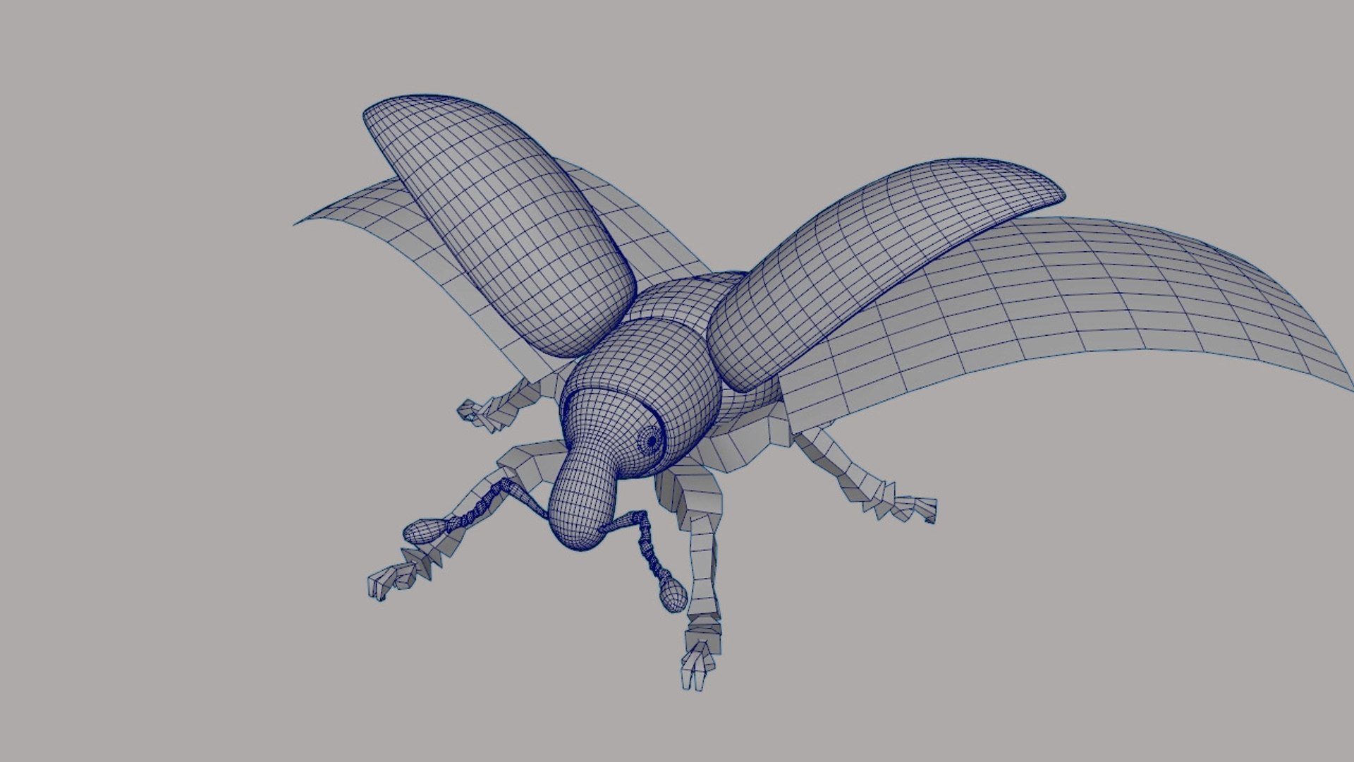 3D Weevil Wings Animation - TurboSquid 1523781