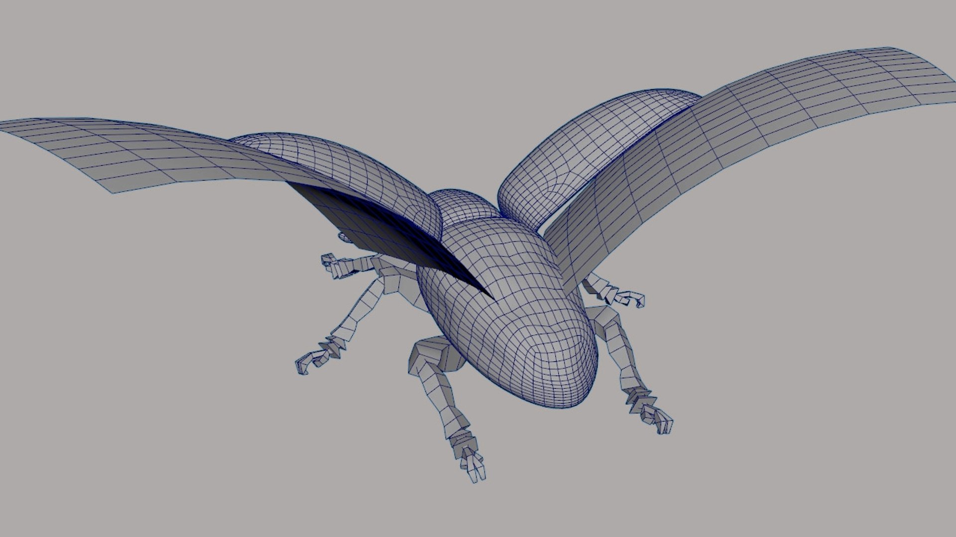 3D Weevil Wings Animation - TurboSquid 1523781
