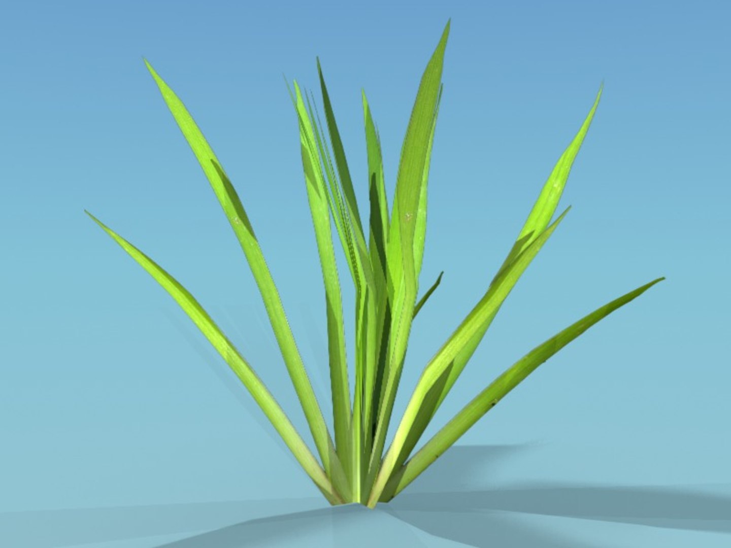 3d grass