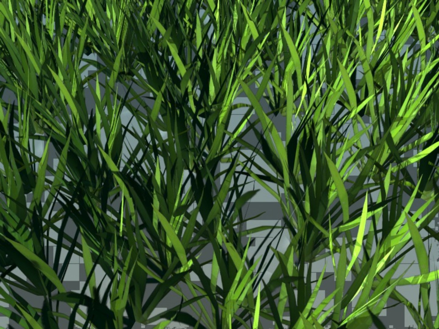 3d grass