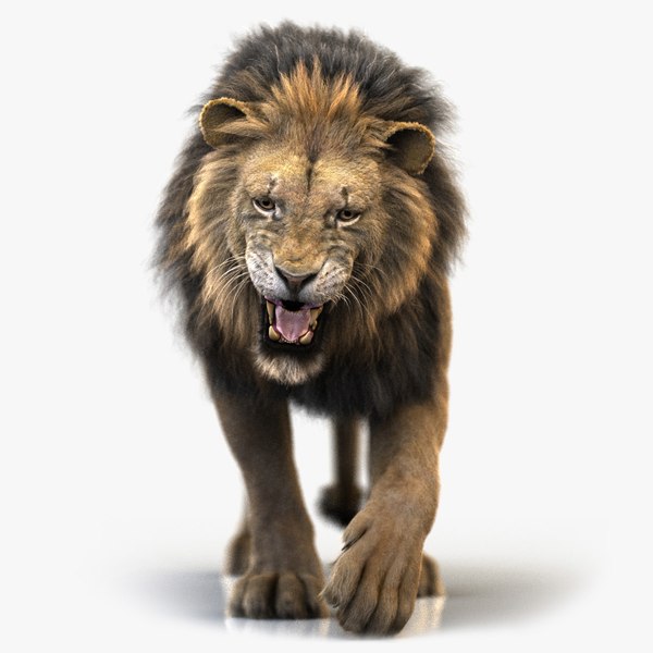 Lion 3D Models for Download | TurboSquid