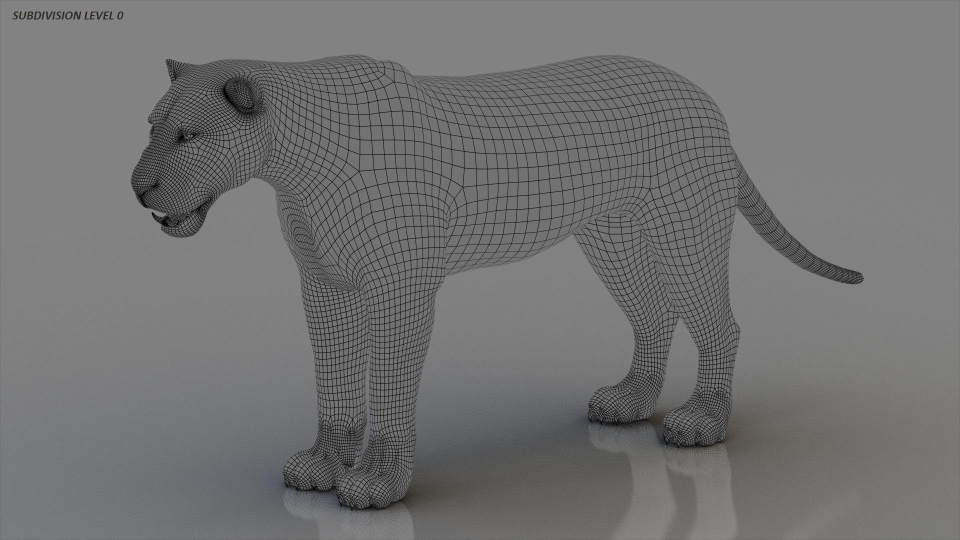Lion Rigged Fur Model - TurboSquid 1479782