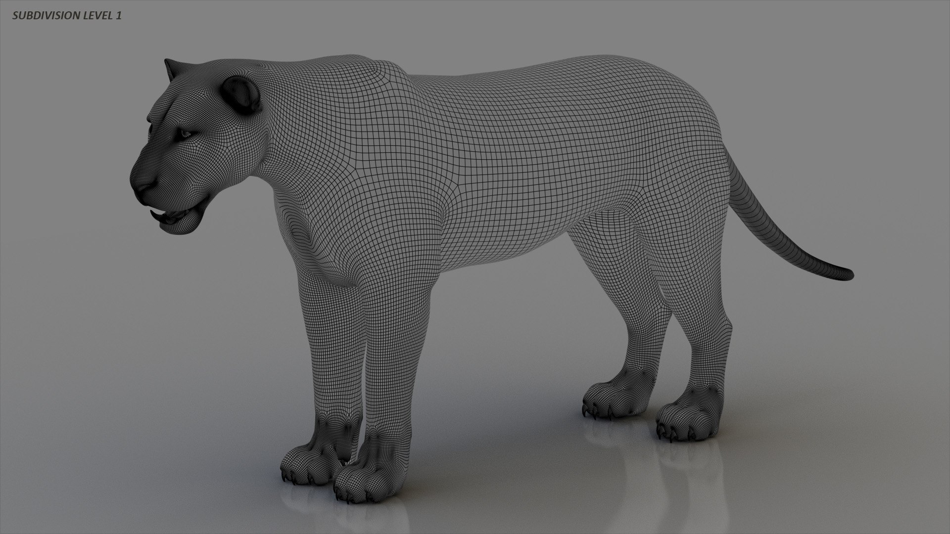 Lion Rigged Fur Model - TurboSquid 1479782
