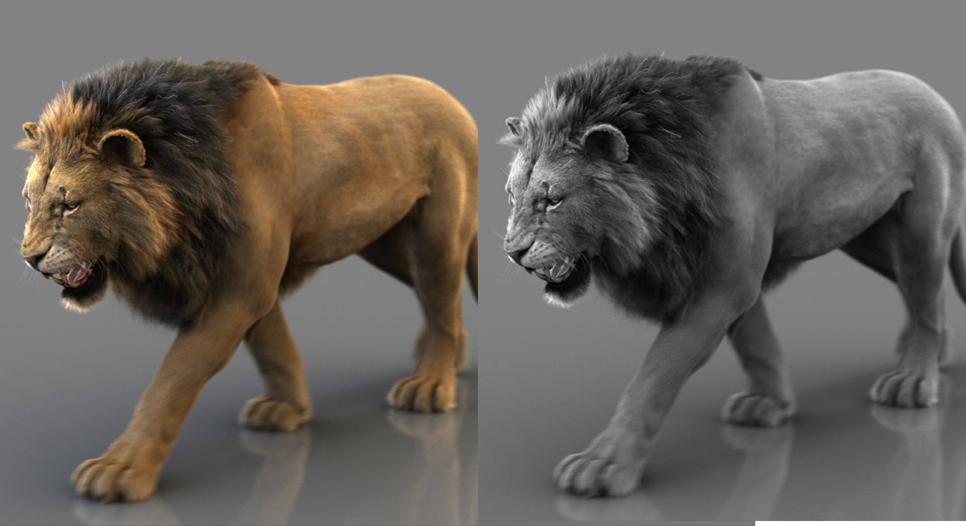 Lion Rigged Fur Model - TurboSquid 1479782