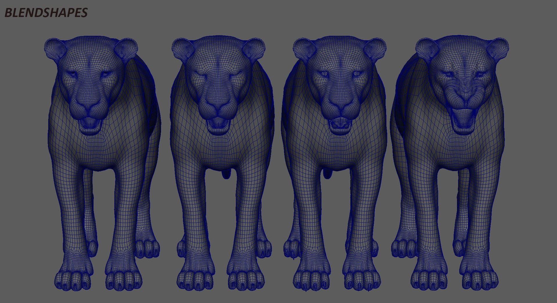Lion Rigged Fur Model - TurboSquid 1479782