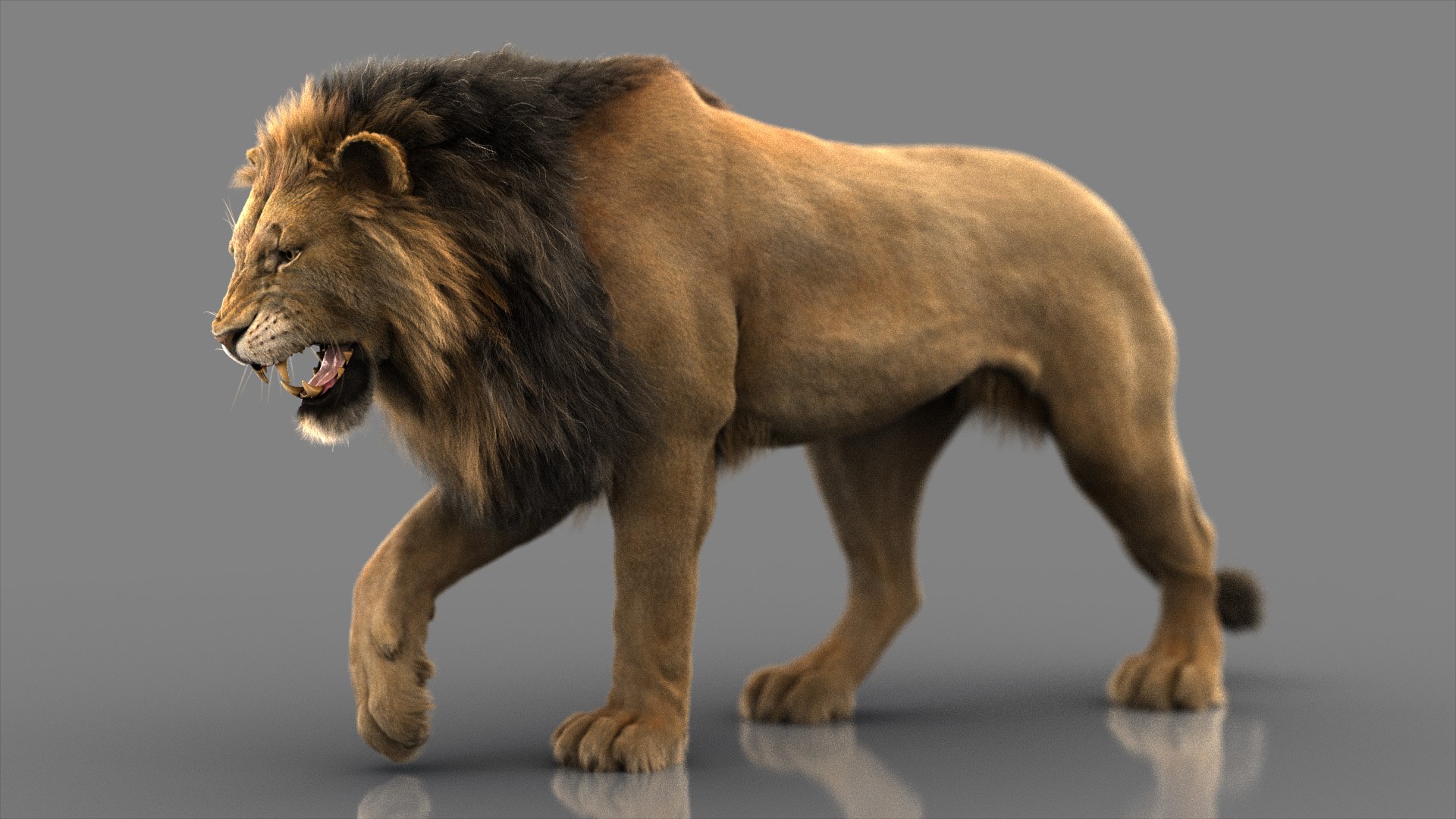 Lion Rigged Fur Model - TurboSquid 1479782