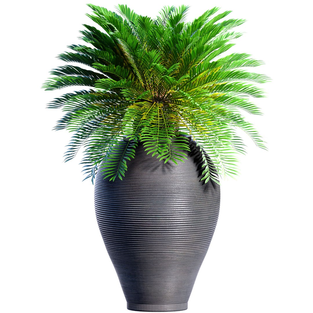 Beautiful Decorative Evergreen Tall Palm Tree Garden Tall Vase 3D Model ...