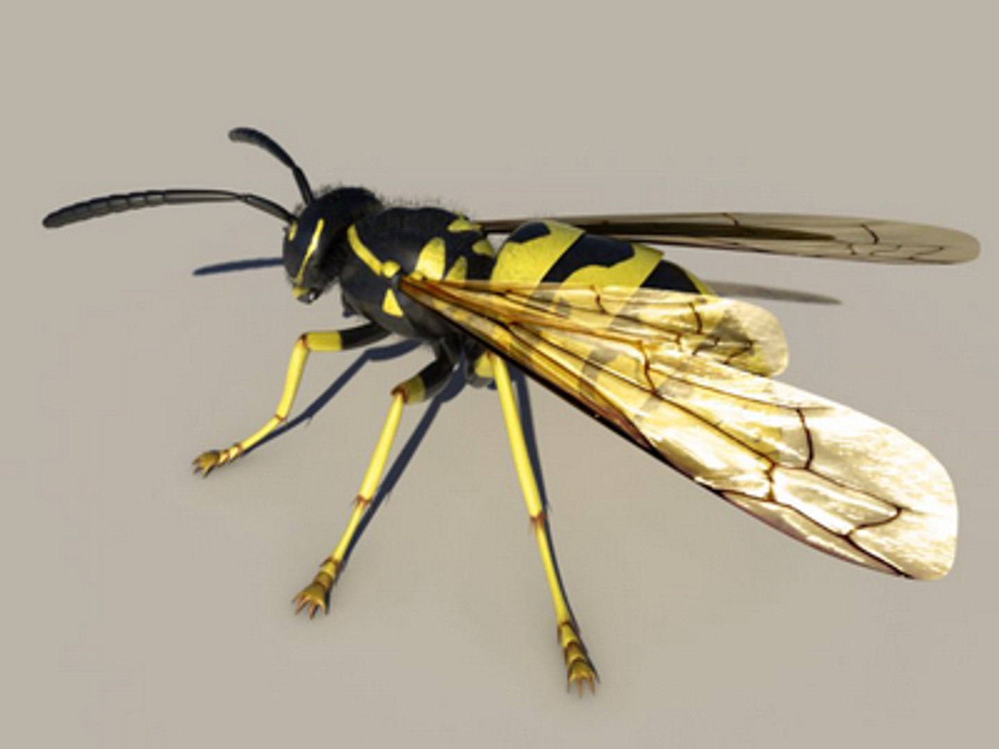 Wasp 3d 3ds