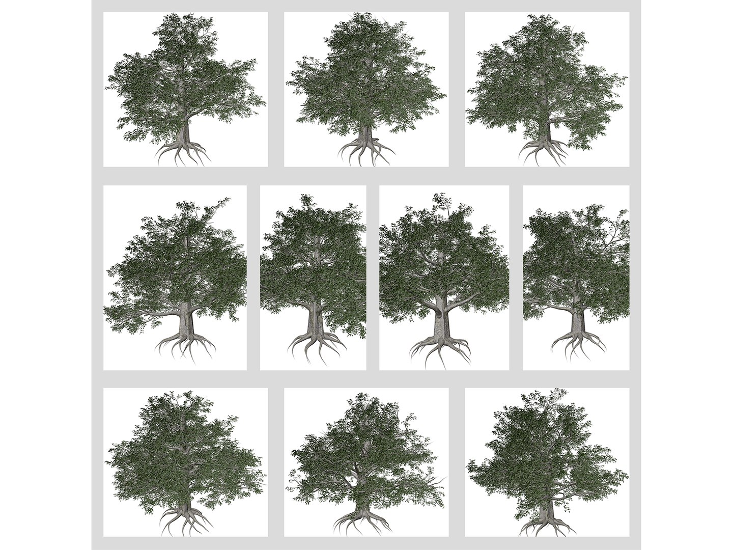 European Beech Tree Collection 3D Model - TurboSquid 2378982