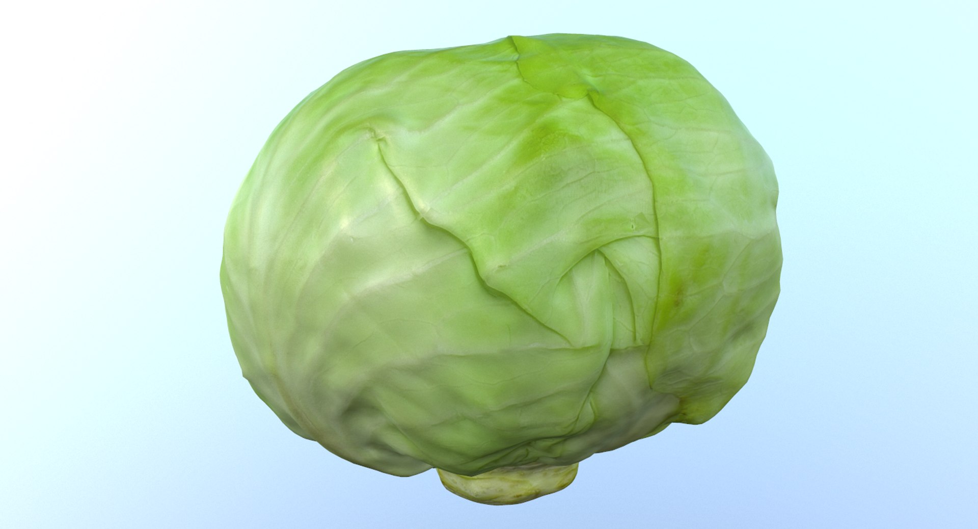 Cabbage Photorealistic Scaned 3d Max