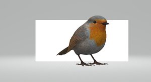 3D Robin Models - Browse & Download Formats - TurboSquid