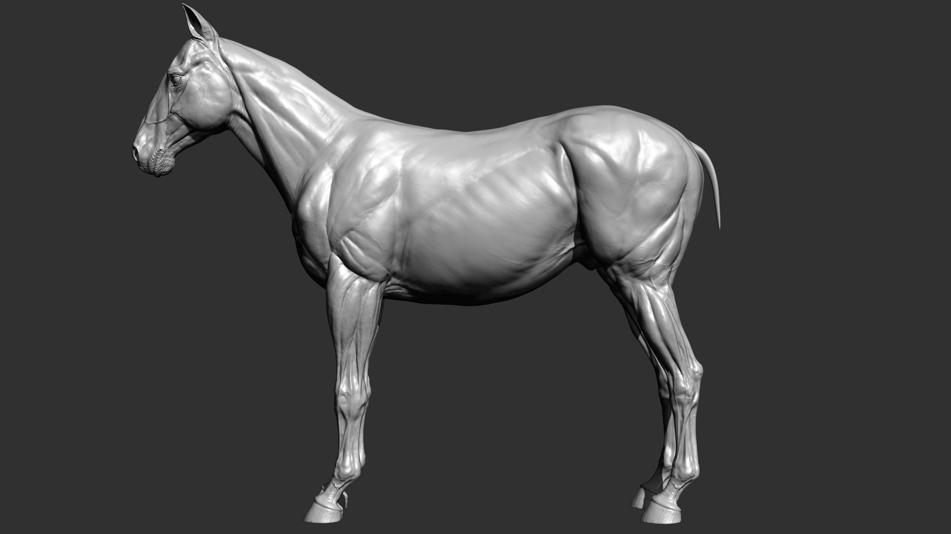 Horse Realistic VFX And Game Ready Model - TurboSquid 1795755