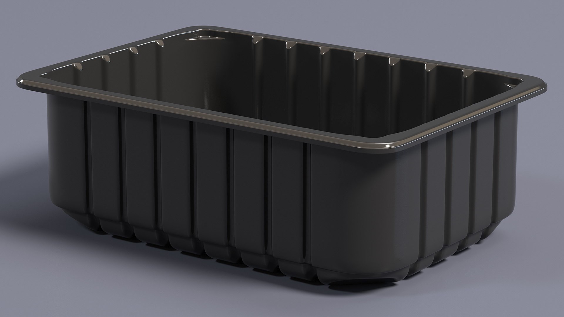 3D Disposable Food Container Without Lid 21x15cm - TurboSquid 1956097