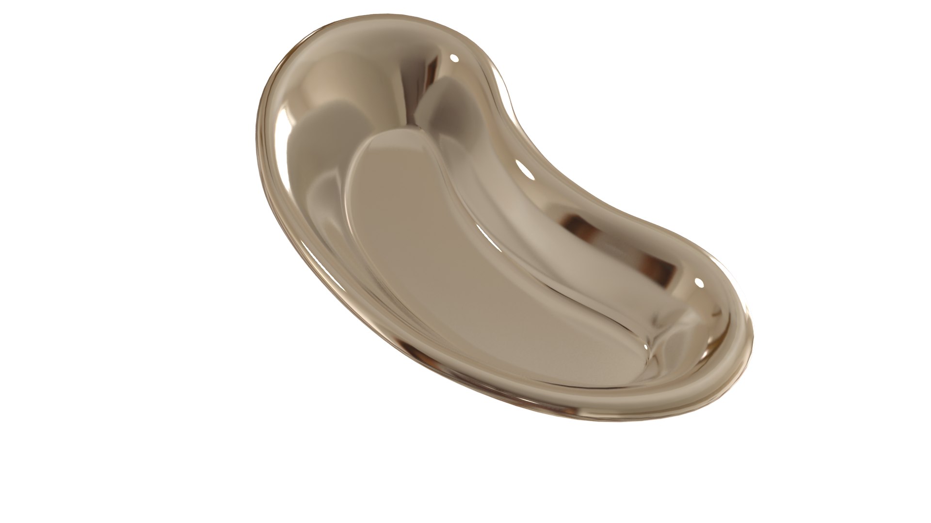 3d model kidney basin