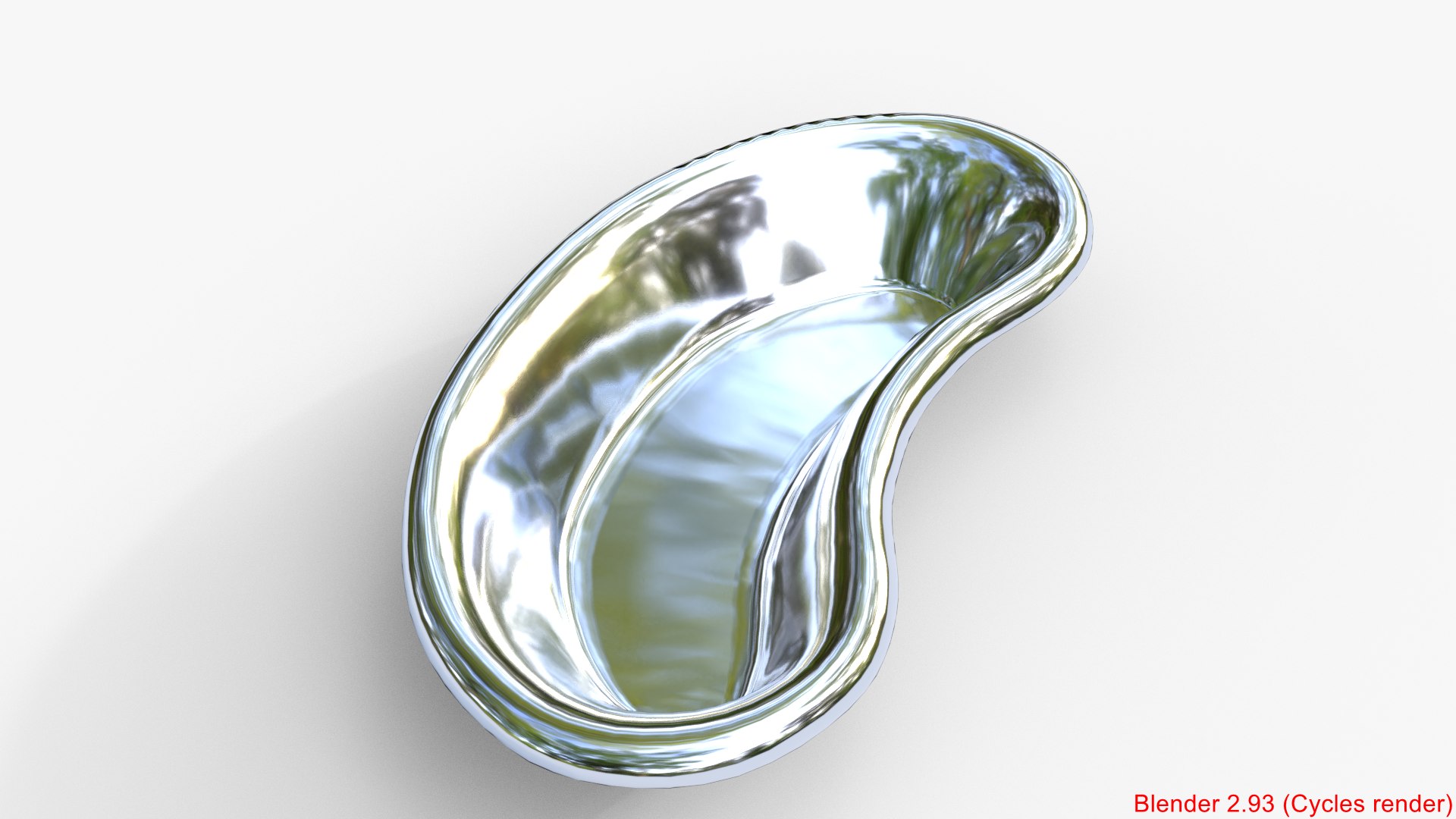 3d model kidney basin