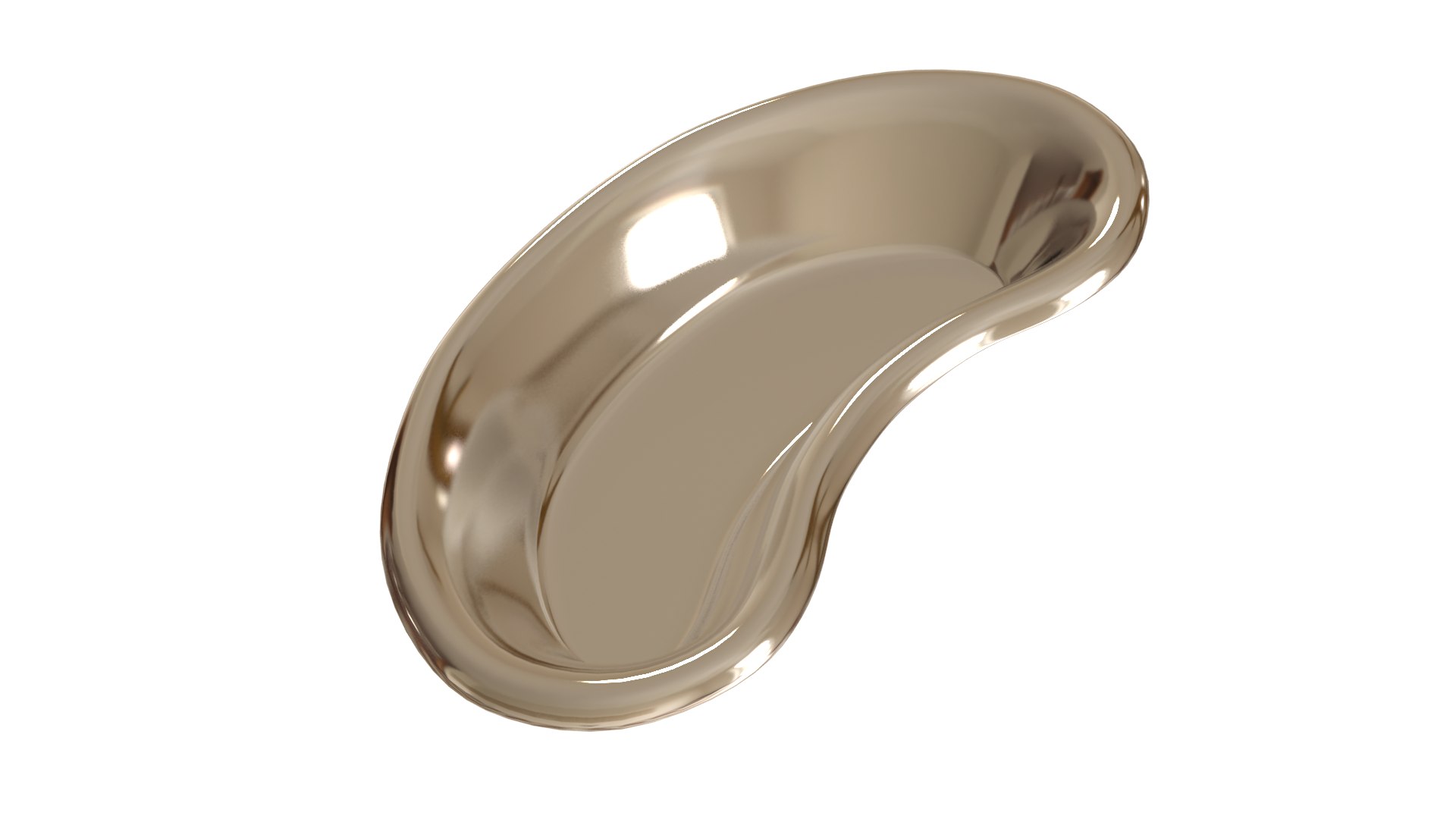 3d model kidney basin