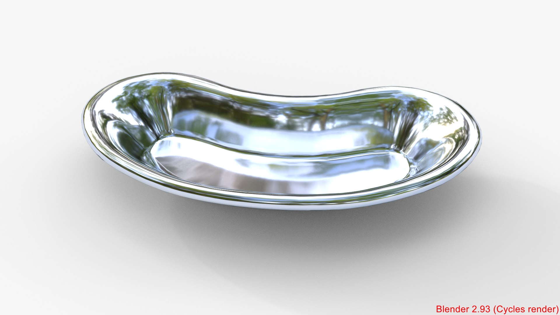 3d model kidney basin