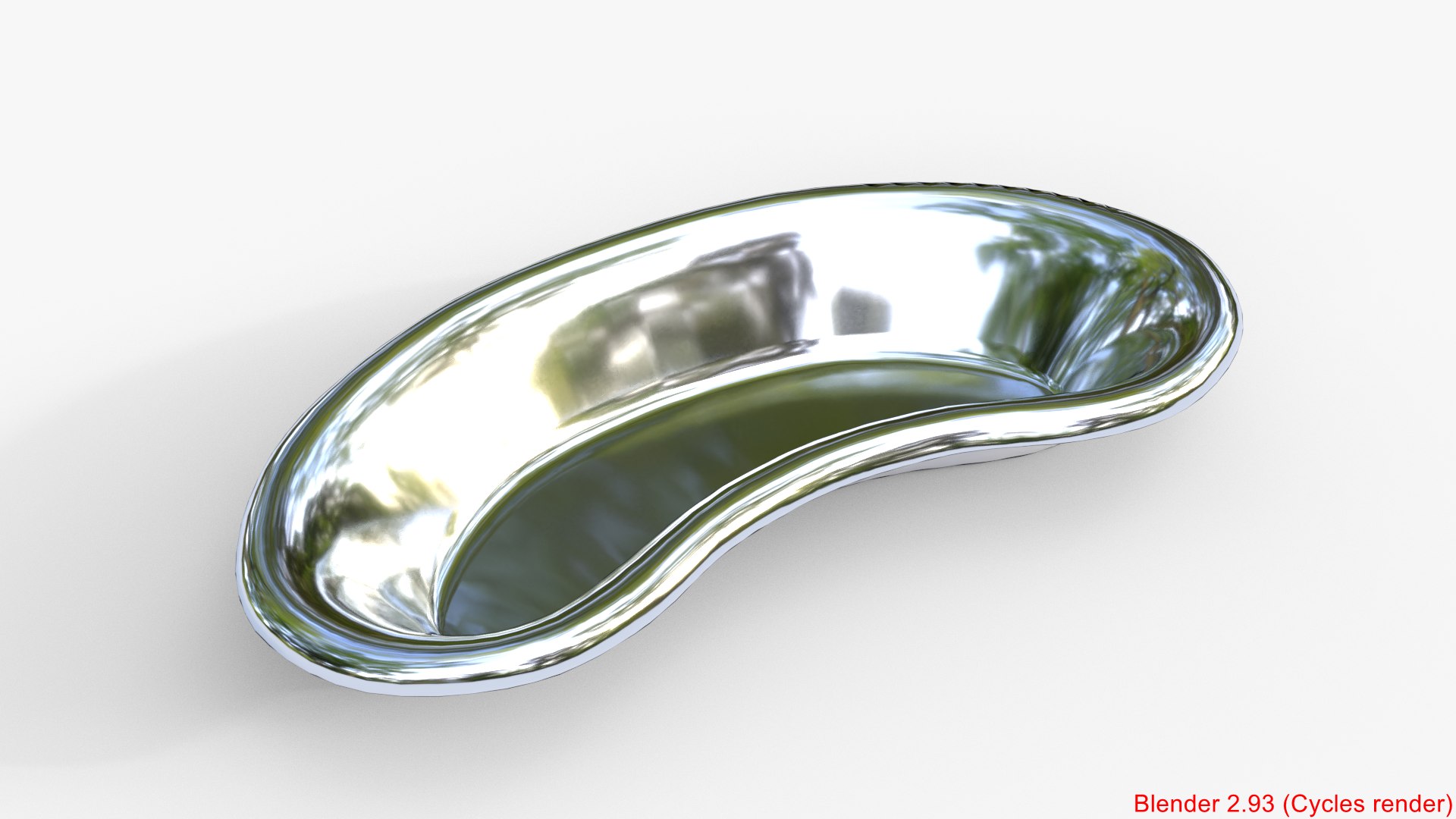 3d model kidney basin