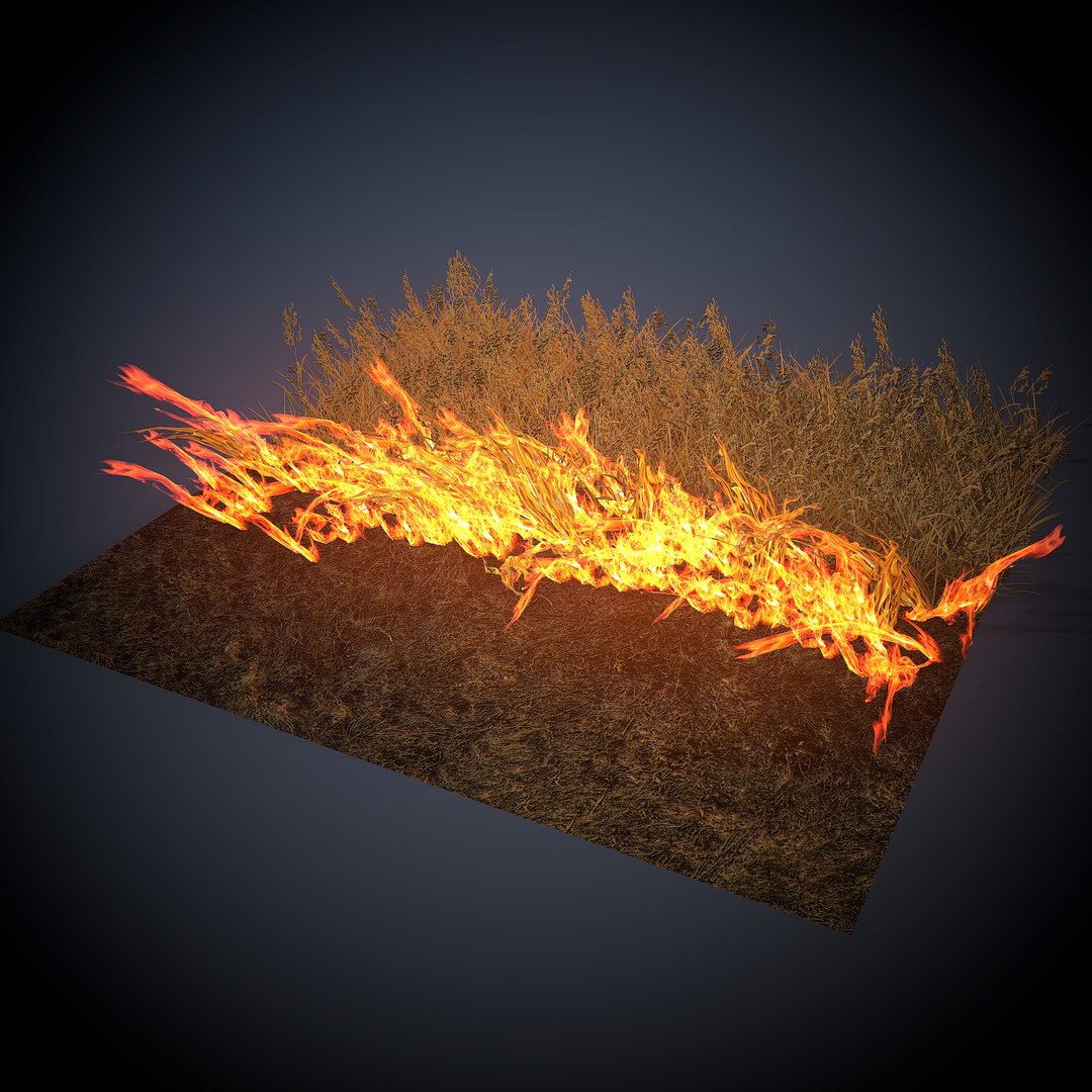 3D model burning grass - TurboSquid 1219334