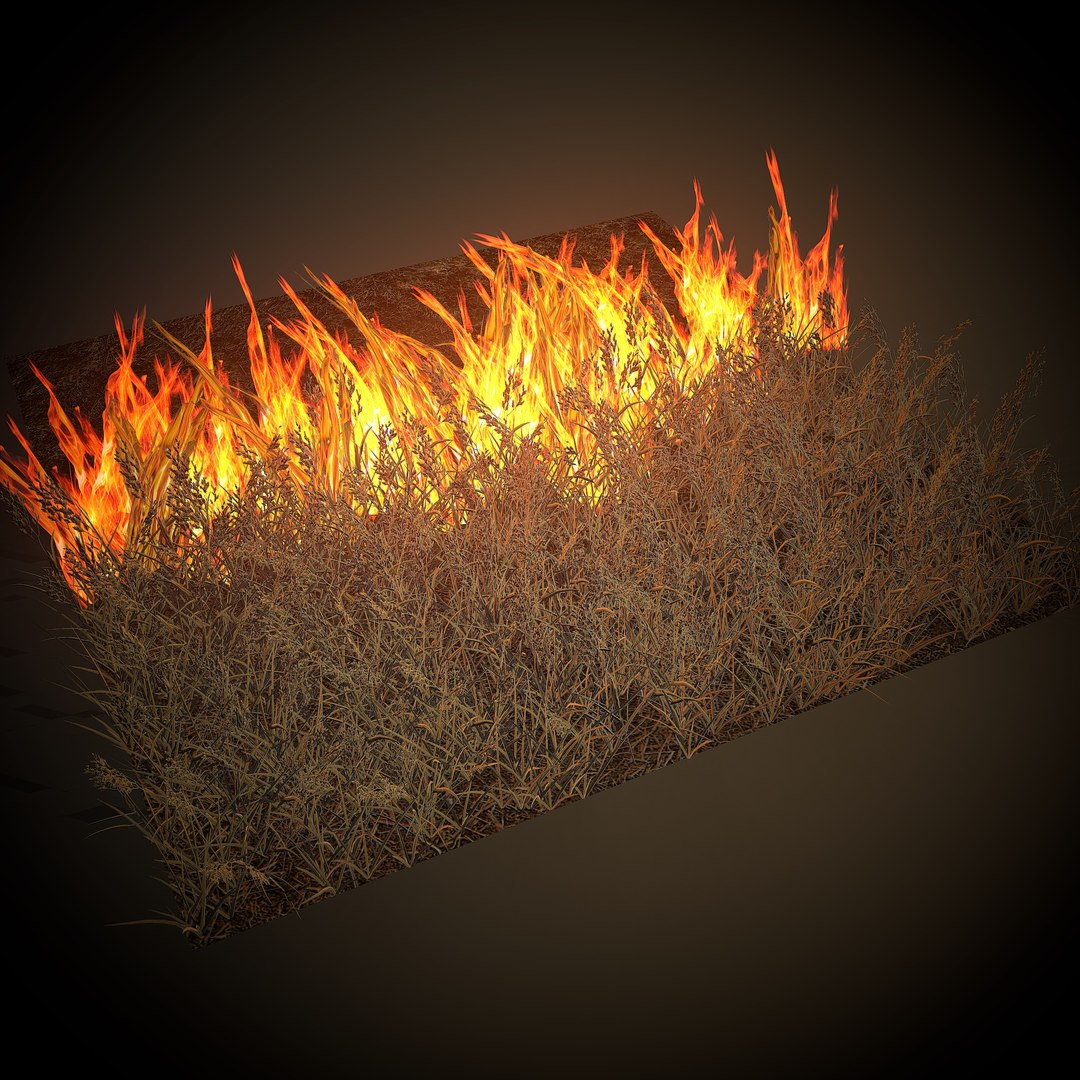 3D model burning grass - TurboSquid 1219334