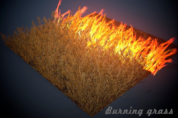 Burning grass store