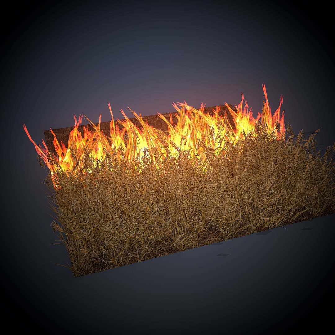 3D model burning grass - TurboSquid 1219334