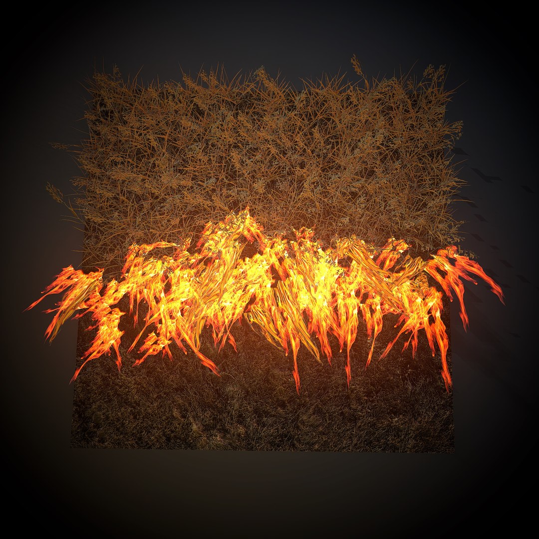 3D model burning grass - TurboSquid 1219334
