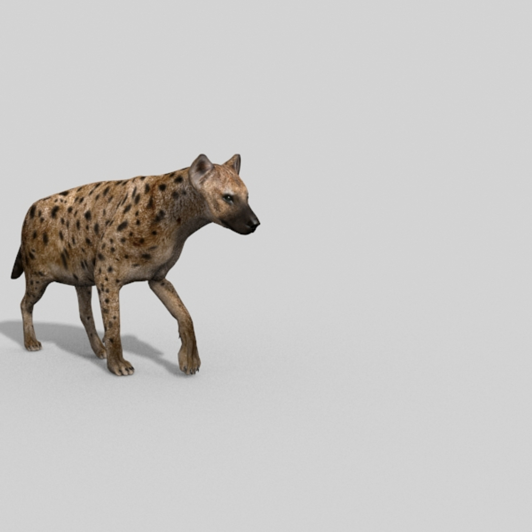 Hyena Value Animation - 3D Model - TurboSquid 1375719