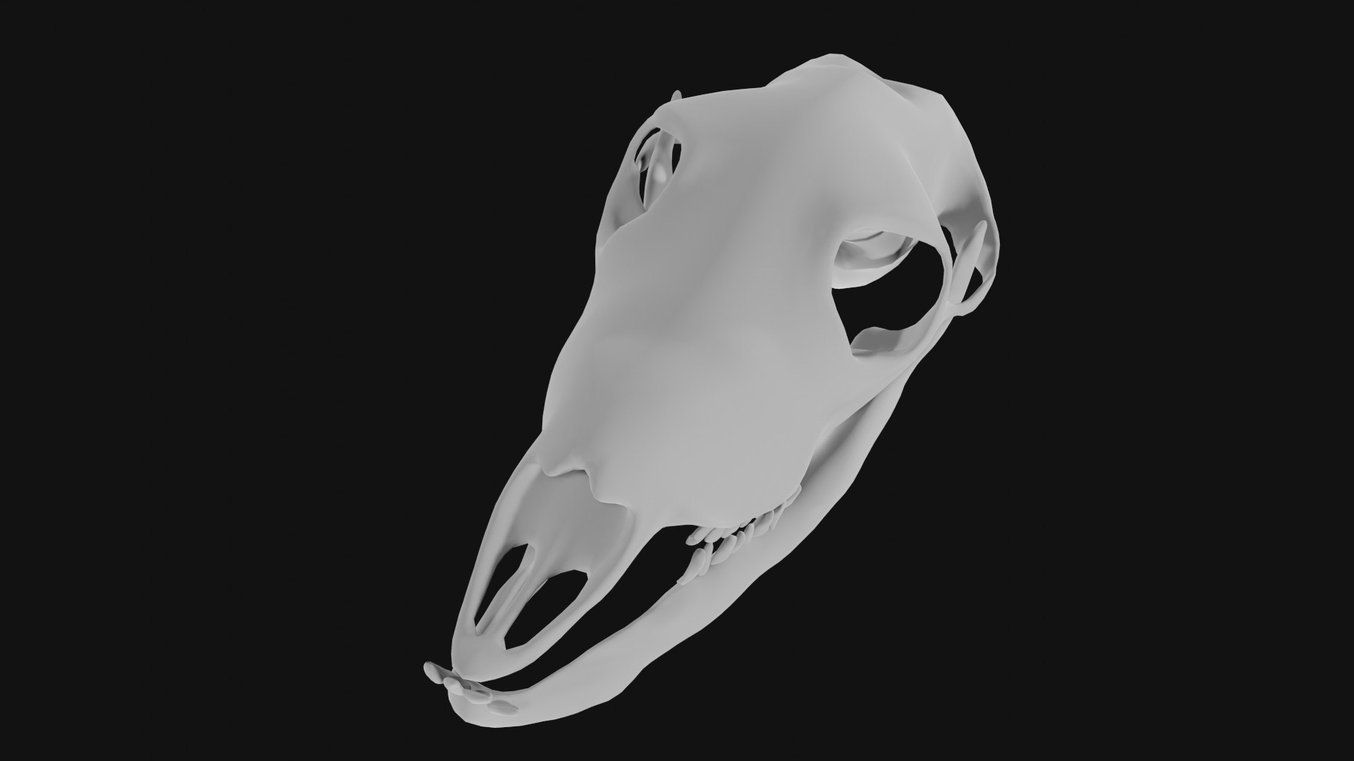 Doe Skull 3D Model - TurboSquid 1986098