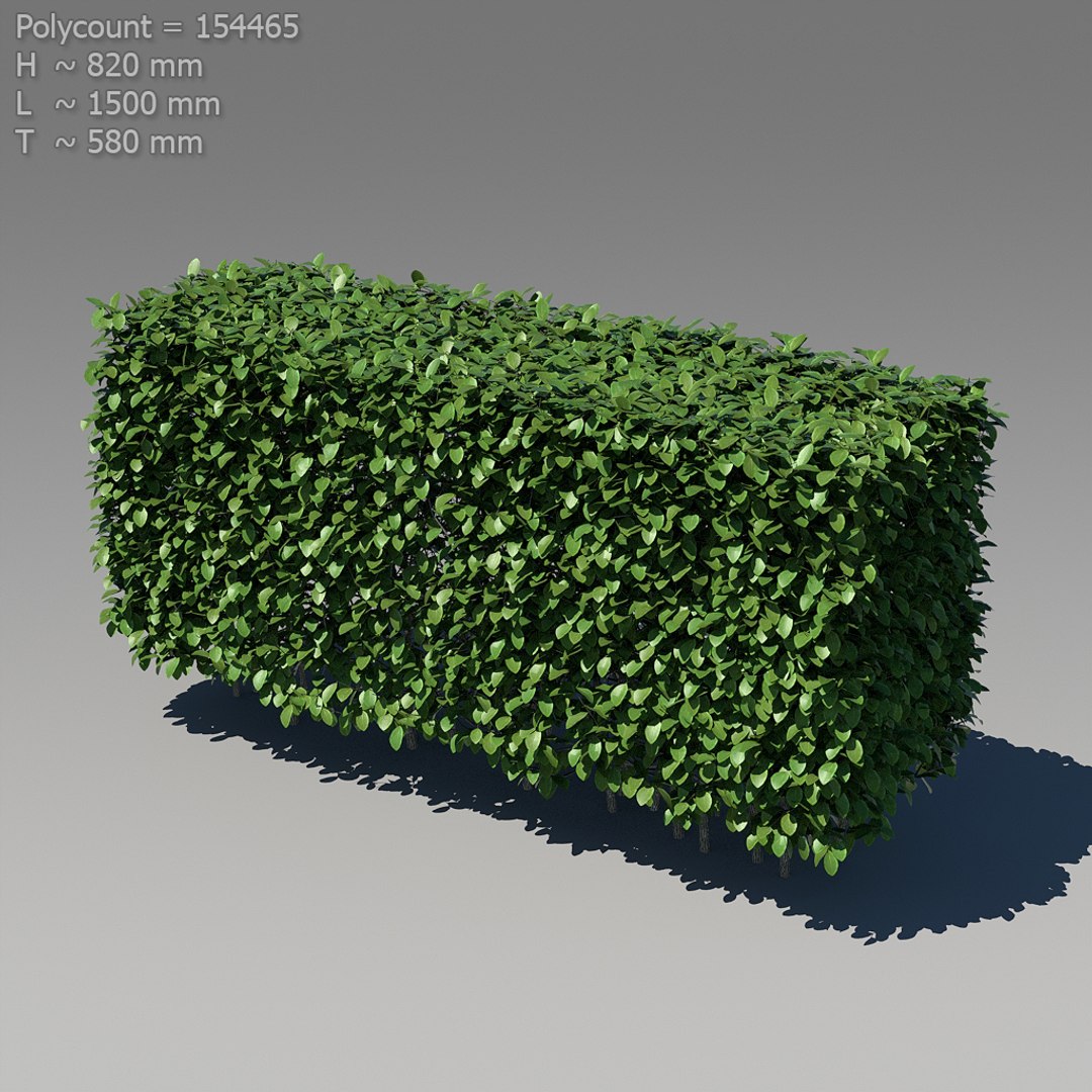 Hedge Bushes 3d Model