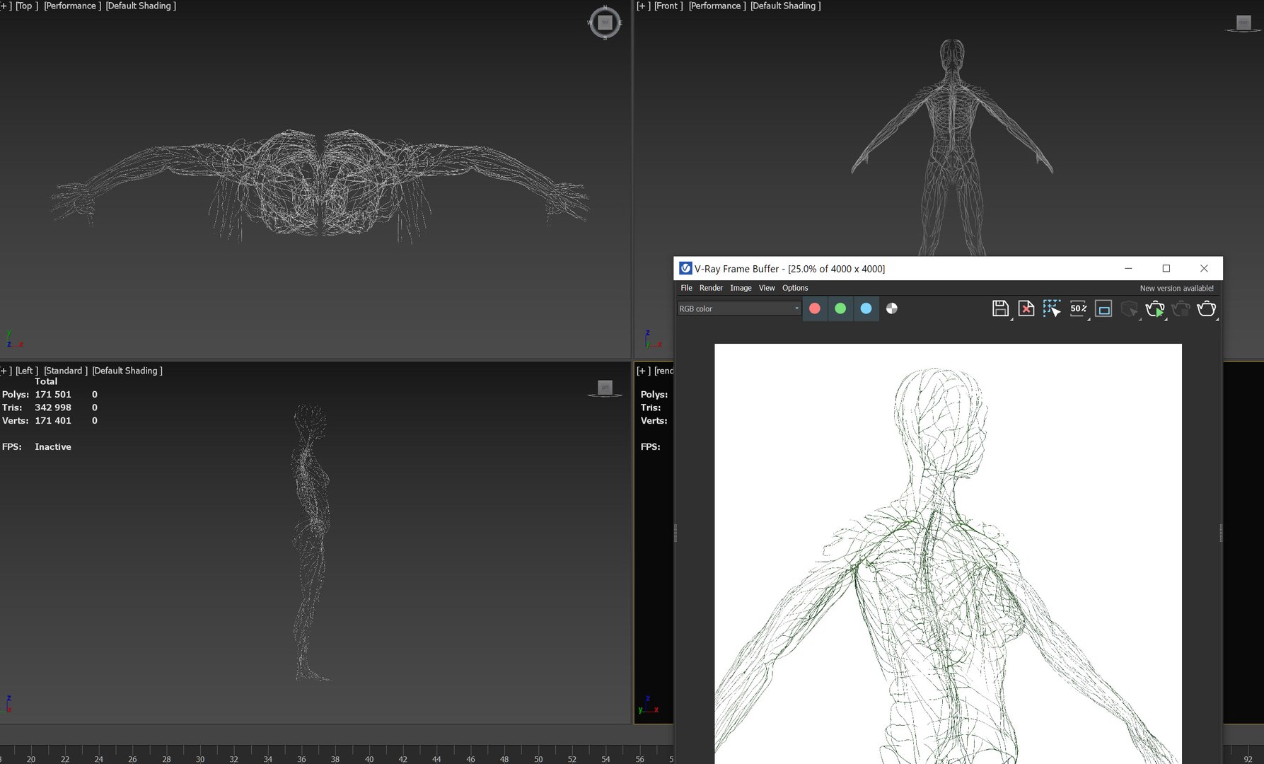 Human Female Lymphatic System Static 3D Model - TurboSquid 2059982